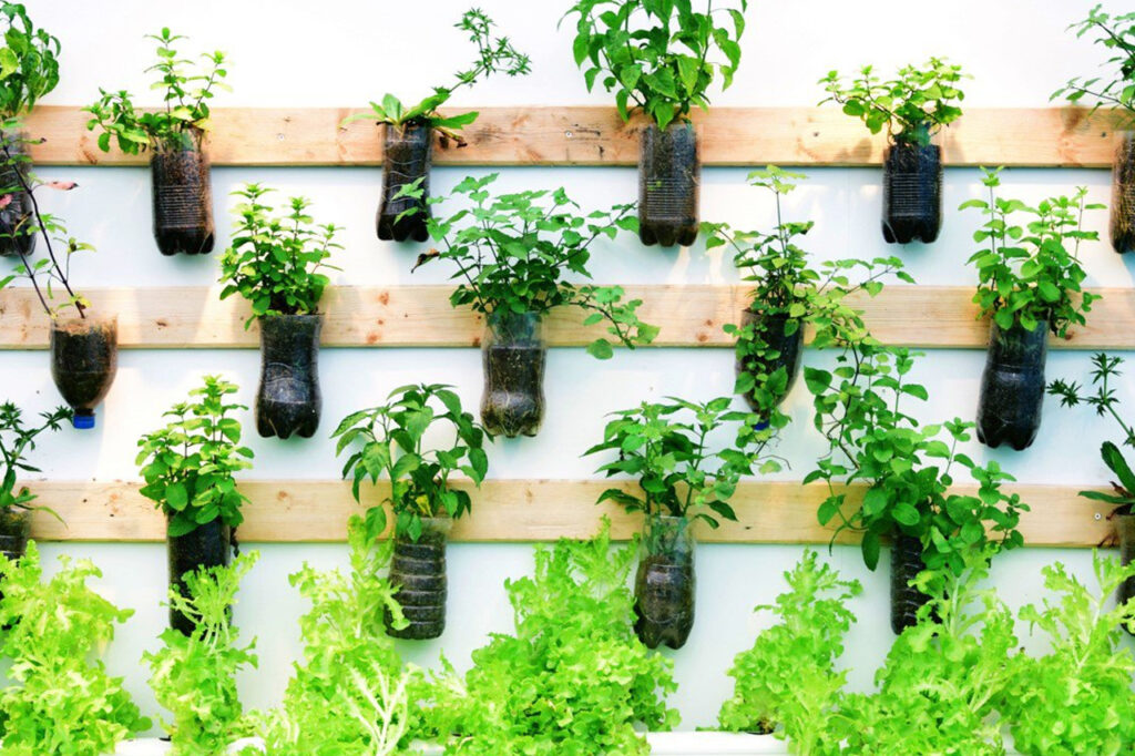 Tips Bercocok Tanam Di Lahan Sempit, Yuk Simak Disini! - Loker Bali ...